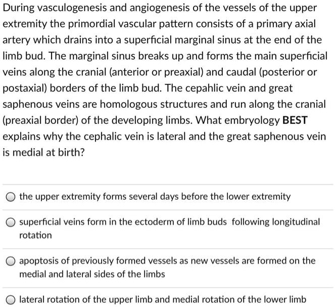 SOLVED: During vasculogenesis and angiogenesis of the vessels of the ...