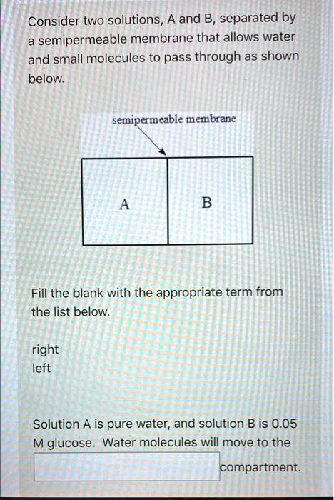SOLVED: Consider two solutions A and B, separated by semipermeable ...