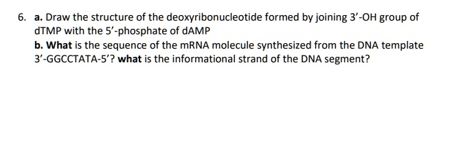 Draw the structure of the deoxyribonucleotide formed by joining the 3 ...
