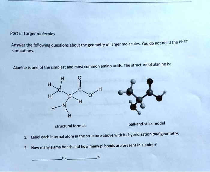 SOLVED:Part II: Larger molecules Answer the following questions about ... SOLVED:Part II: Larger molecules Answer the following questions about ...