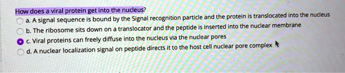 How does a viral protein get into the nucleus? a. A signal...