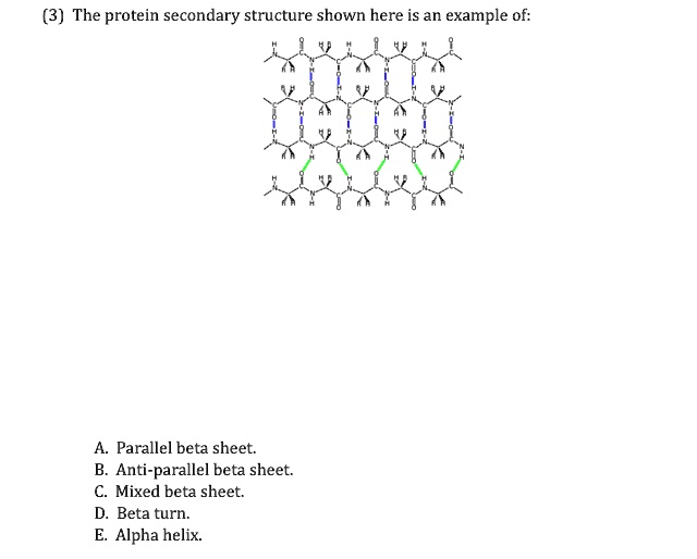SOLVED: The protein secondary structure shown here is an example of ...