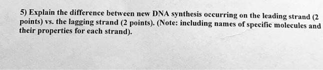 5) Explain the difference between new DNA synthesis occurring on the ...