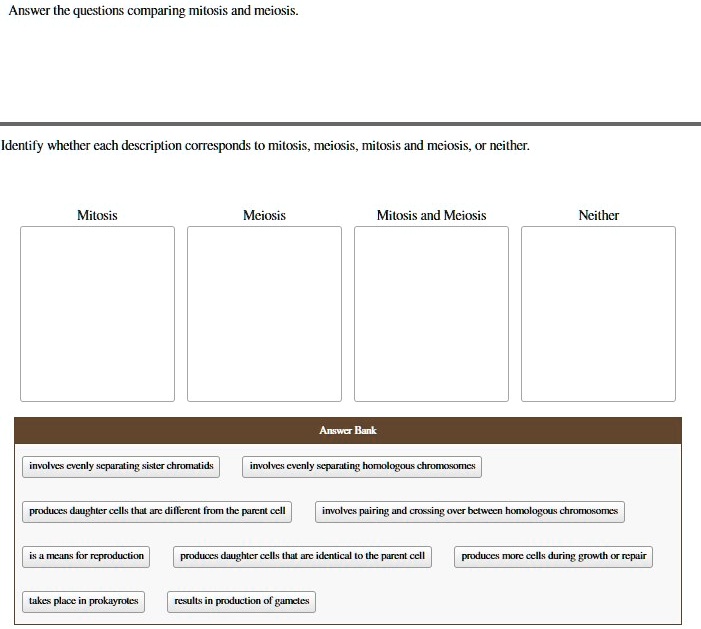 Comparing mitosis and meiosis Answer the questions comparing mitosis ...