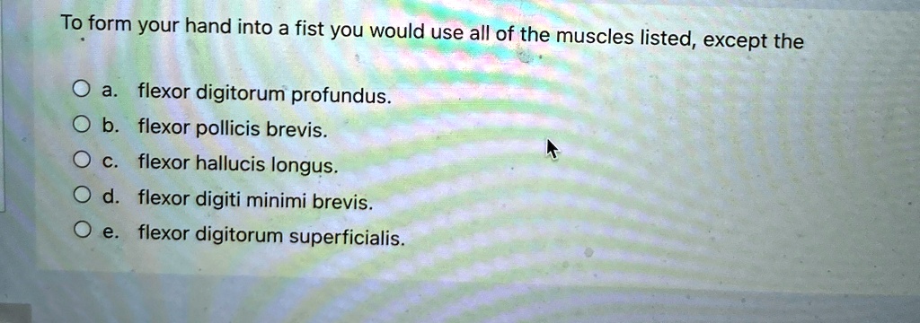 To form your hand into a fist you would use all of the muscles listed ...