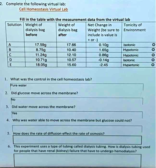 SOLVED: Texts: 2. Complete the following virtual lab: Cell Homeostasis Virtual Lab Fill in the ...
