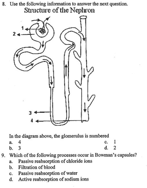 SOLVED:Use the following information to answer the next question ...