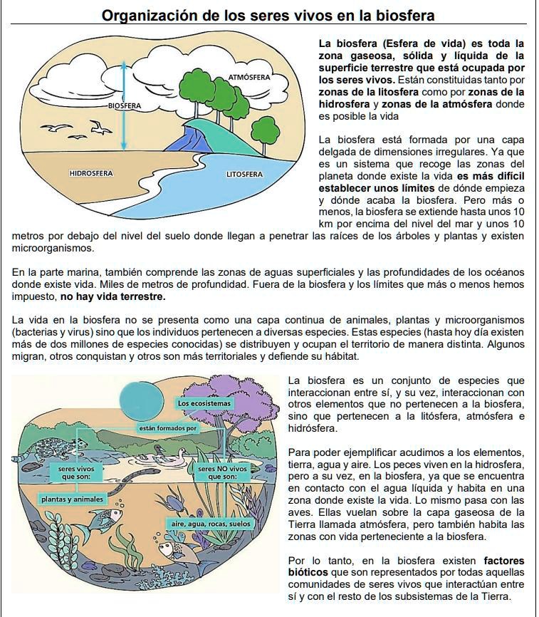 Con sus propias palabras, explique ¿Qué es la biosfera?, y las capas de ...