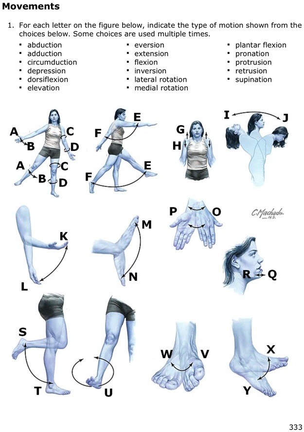 Movements 1. For each letter on the figure below, indicate the type of ...