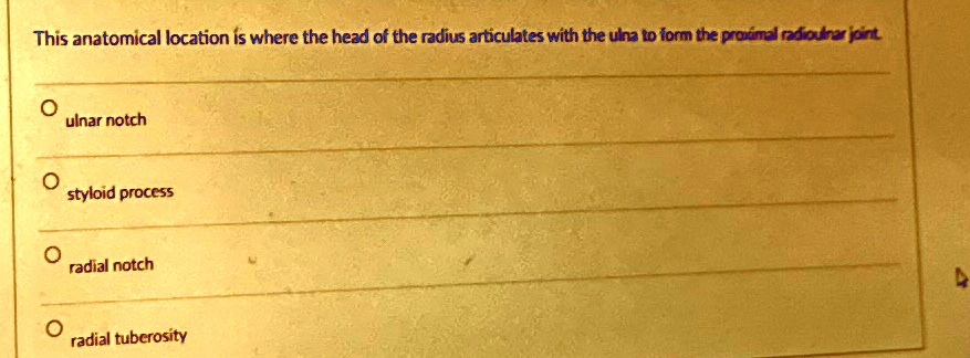 this anatomical location is where the head of the radius articulates ...