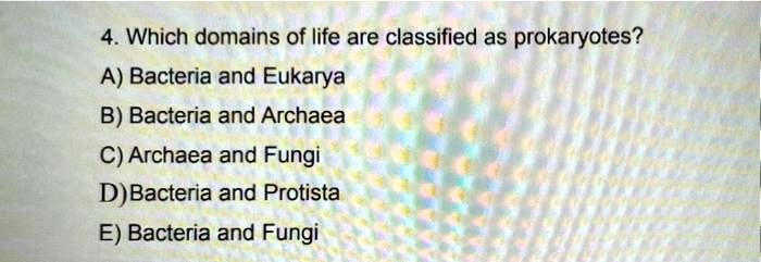 4which domains of life are classified as prokaryotes abacteria and ...