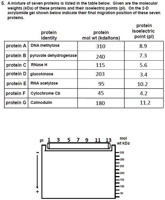 SOLVED: A mixture of seven proteins is listed in the table below. Given ...