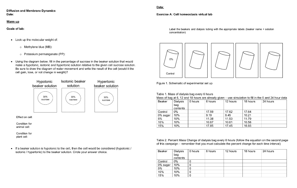 please answer all the questionsthanks data diffusion and membrane ...
