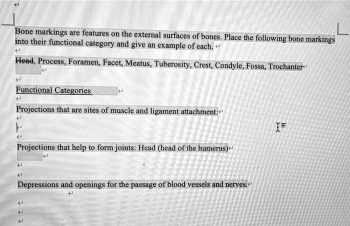 Bone markings are features on the external surfaces of bones. Place the ...