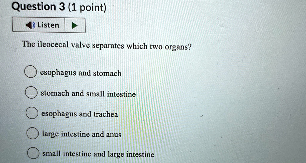 Question 3 (1 point) Listen The ileocecal valve separates which two ...