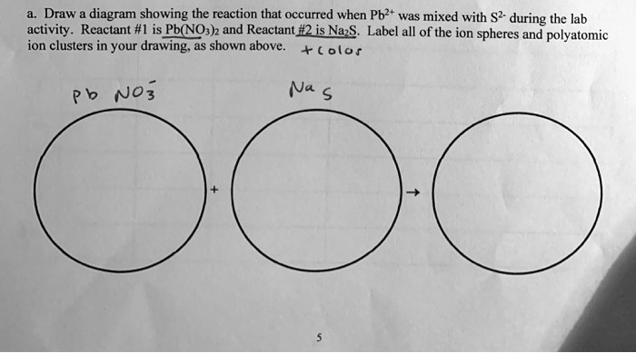 SOLVED: Draw a diagram showing the reaction that occurred when Pb2+ was ...