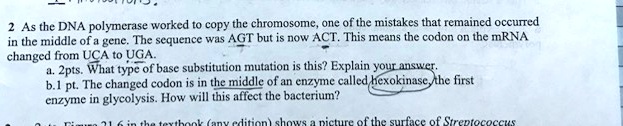 SOLVED: As the DNA polymerase worked t0 copy the chromosome; one 0f the ...