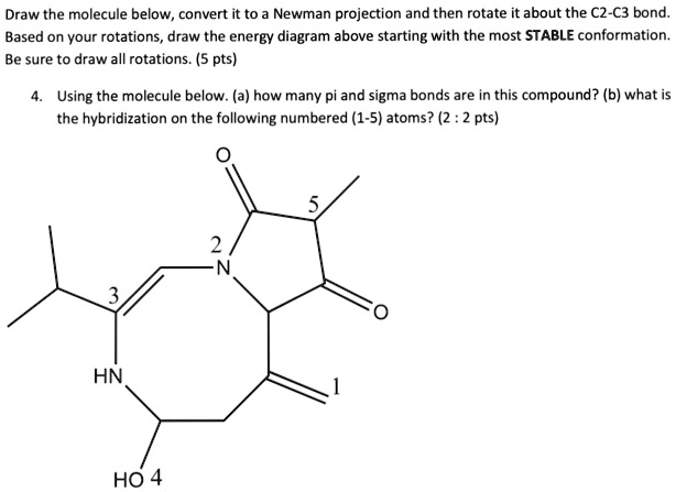 SOLVED: Draw the molecule below, convert it to Newman projection and ...