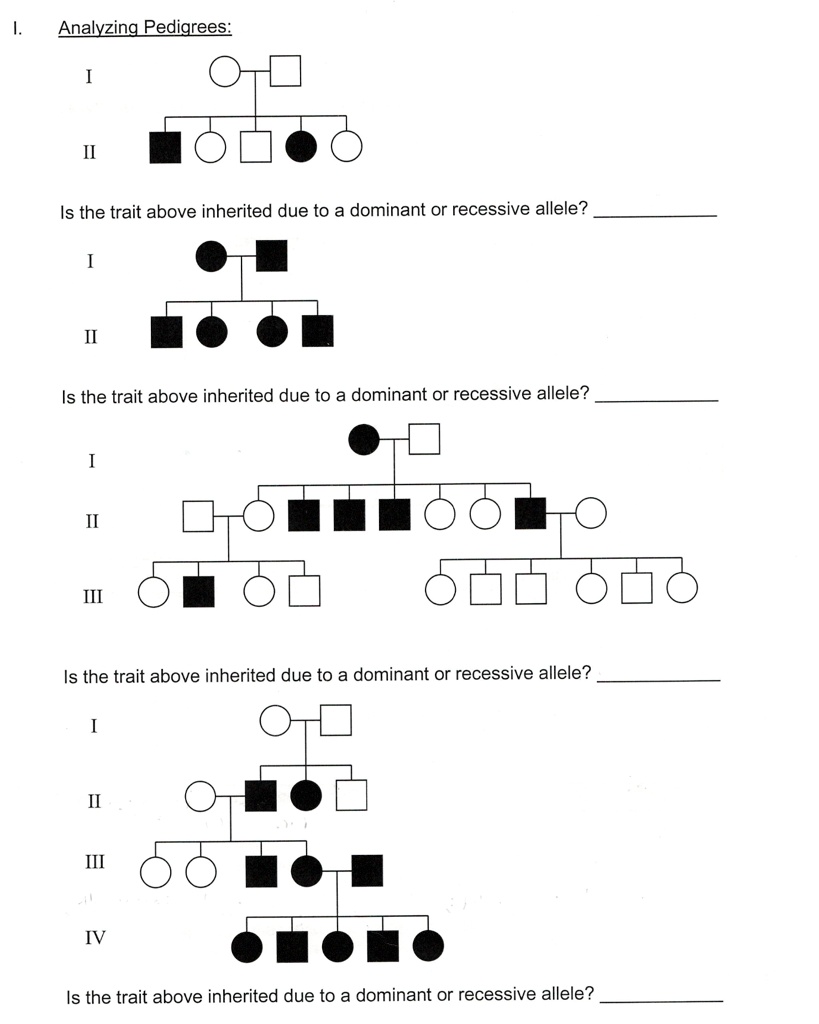 SOLVED: I. Analyzing Pedigrees: Is the trait above inherited due to a ...