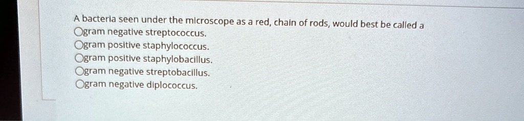 a bacteria seen under the microscope as a red chain of rods would best ...