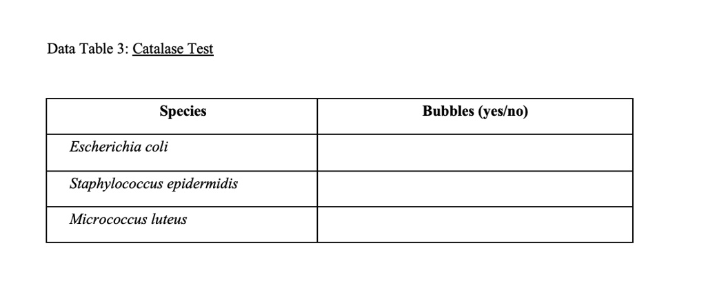 VIDEO solution: Data Table 3: Catalase Test Species Bubbles (yes/no ...