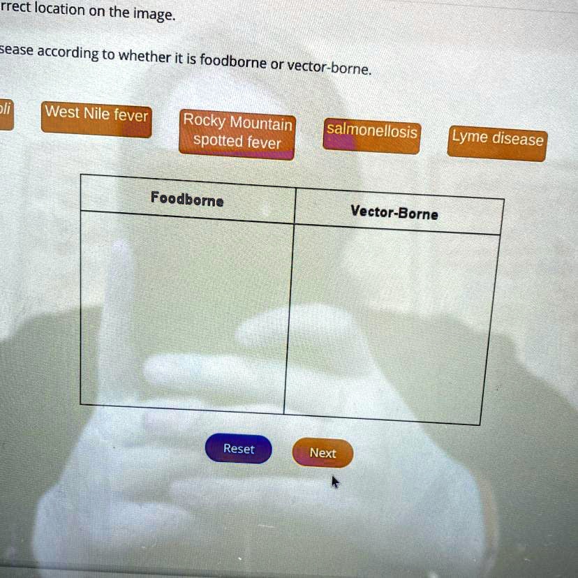 SOLVED: Drag each label to the correct location on the image. Classify each zoonotic disease ...