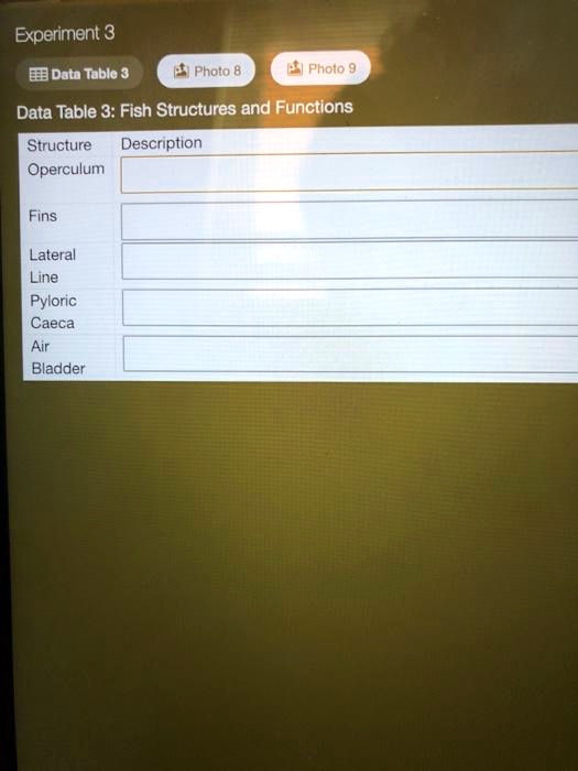 SOLVED: Experiment 3 EDatu Table Photo Pholo 9 Data Table 3: Fish ...