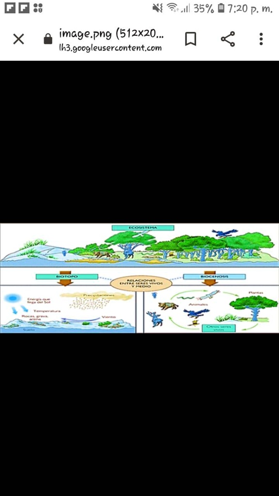 SOLVED: Si en un ecosistema aumentará desproporcionadamente la ...