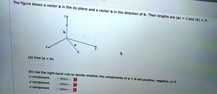 The Figure Shows Vectorthe Xy Plane And Vectorthe Dir… Solvedlib