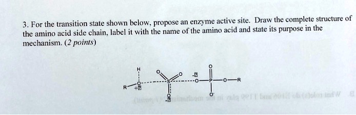 SOLVED: 3. For the transition state shown below: propose an enzyme ...