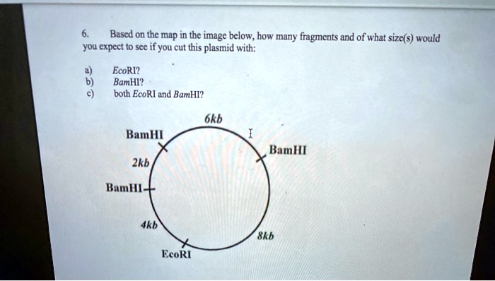 based on the map in the image below how many fragments and of what sizes would you expect t0 see ...