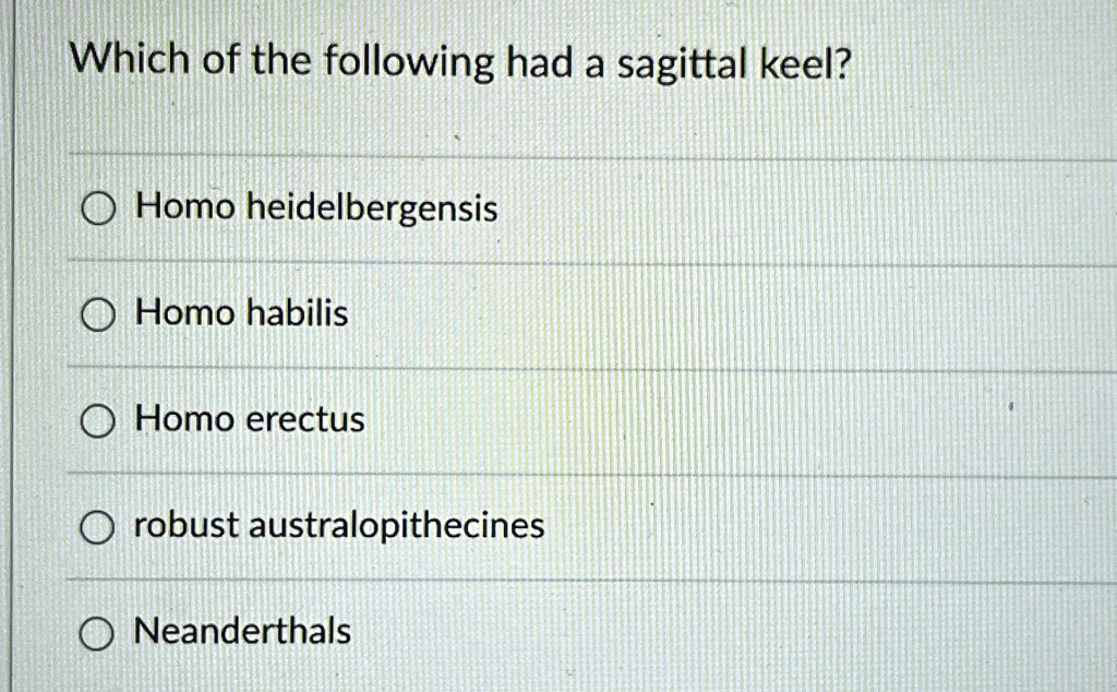 Which of the following had a sagittal keel? Homo heidelbergensis Homo ...