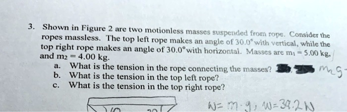 SOLVED: Shown in Figure 2 are (Wo motionless masses suspended From ...