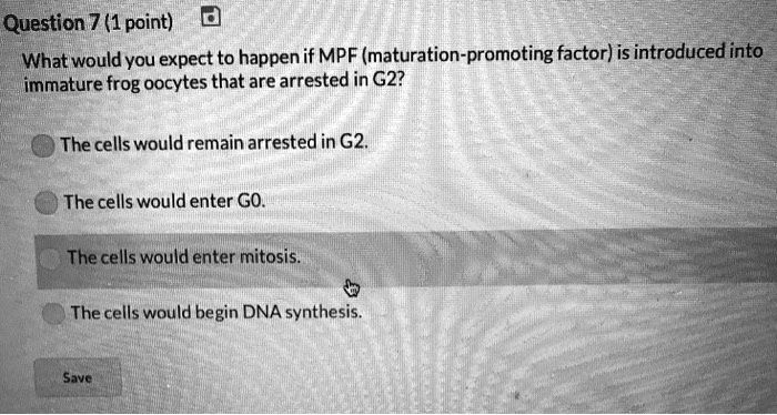 SOLVED: Question 7 (1 point) What would you expect to happen if MPF ...