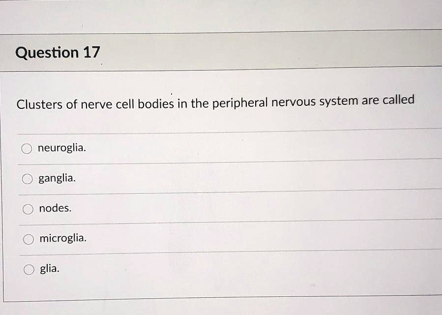 Question 17 Clusters of nerve cell bodies in the peripheral nervous system are called neuroglia ...