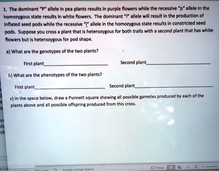 1. The dominant "P" allele in pea plants results in purple flowers ...