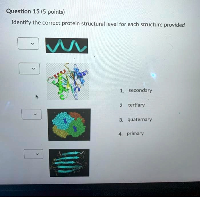 SOLVED: Question 15 (5 points) Identify the correct protein structural ... SOLVED: Question 15 (5 points) Identify the correct protein structural ...