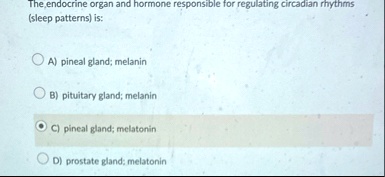 the endocrine organ and hormone responsible for regulating circadian ...