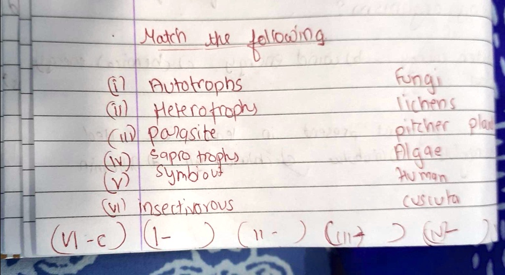 SOLVED: Match the following: Autotrophs - Algae Fungi - Heterotrophy ...