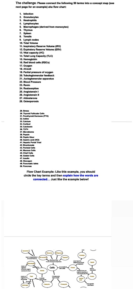 the challenge please connect the following 50 terms into a concept map ...