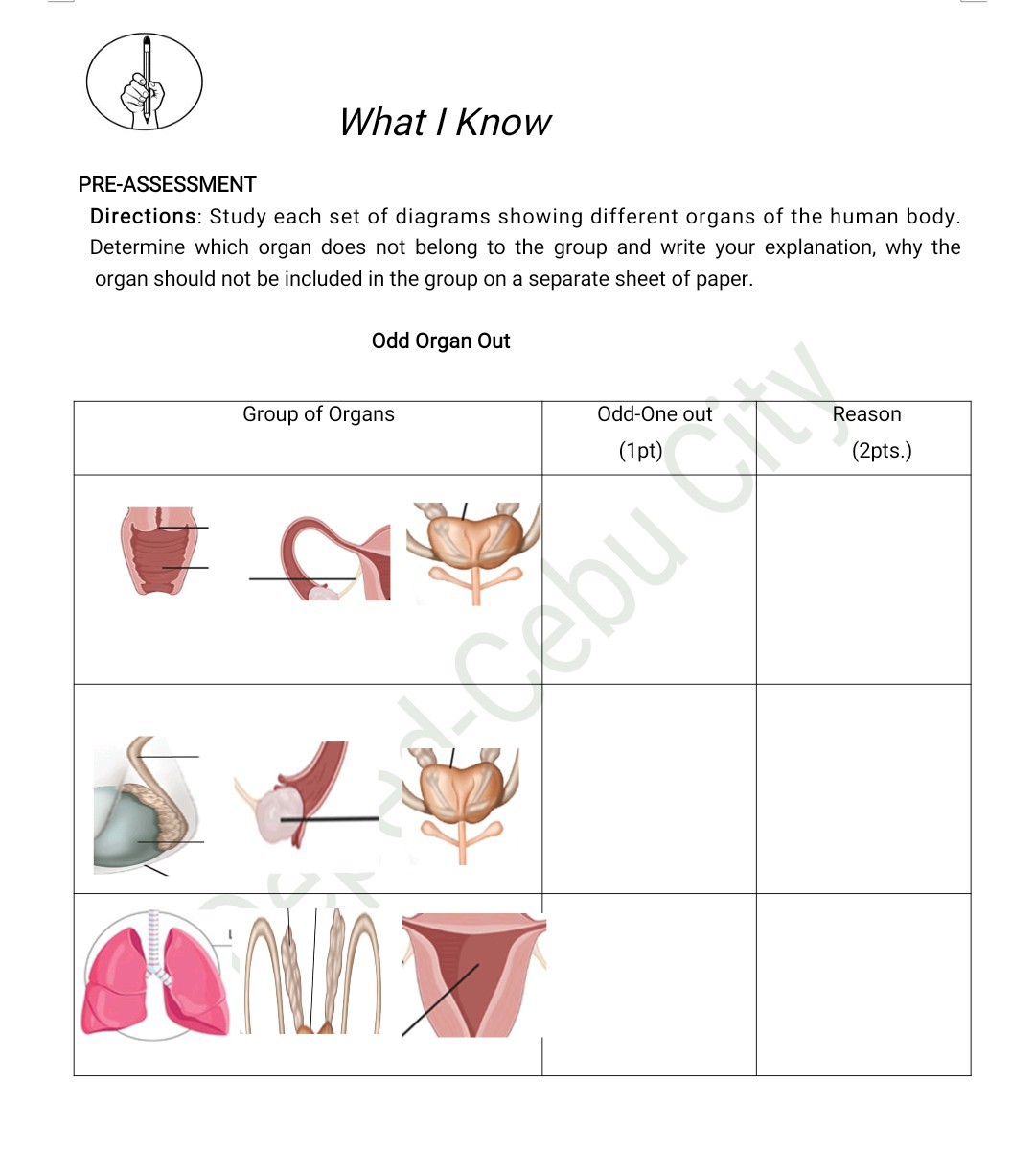 SOLVED: What I Know PRE-ASSESSMENT Directions: Study each set of ...