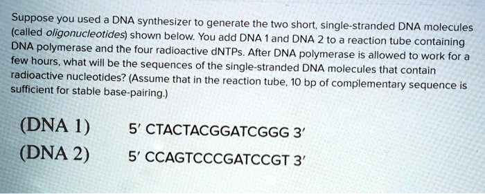 suppose you used dna synthesizer to generate the two short single ...