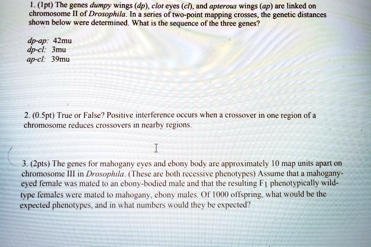 SOLVED: (Ipt) The genes dumpy wings (dp) , clot eyes (cl), and apterous ...