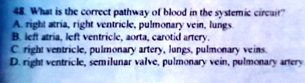 48. What is the correct pathway of blood in the systemic circuit? A ...