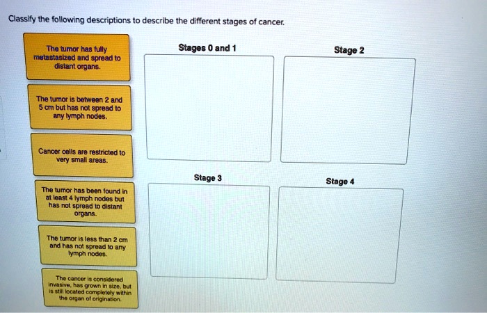 classify the following descriptions to describe the different stages of ...
