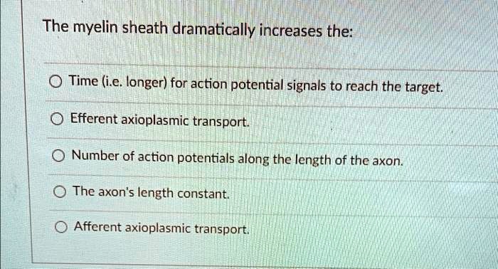 SOLVED: The myelin sheath dramatically increases the: Time (i.e. longer ...
