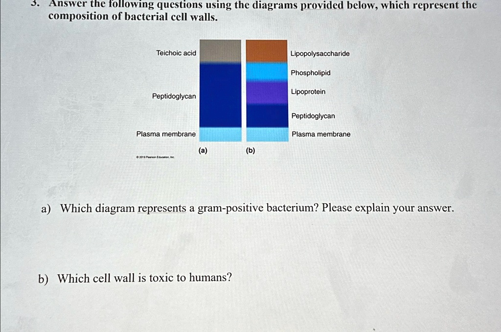 VIDEO solution: Answer the following questions using the diagrams ...