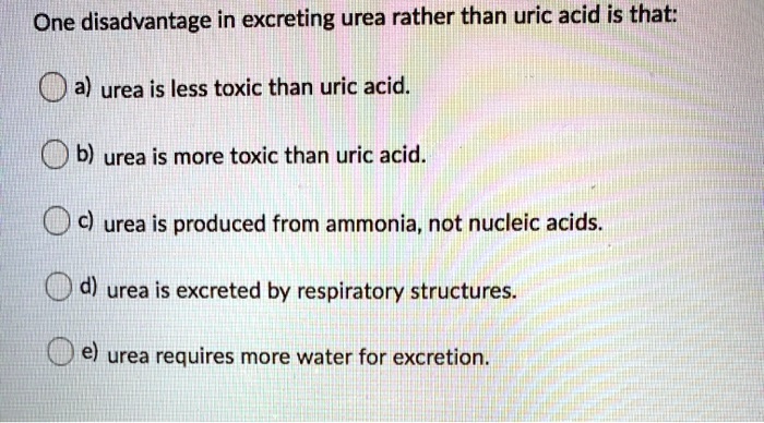 one disadvantage in excreting urea rather than uric acid is that a urea ...