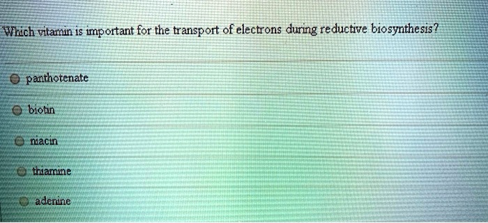 SOLVED: Whch vitarin is important for the transport of electrons during ...