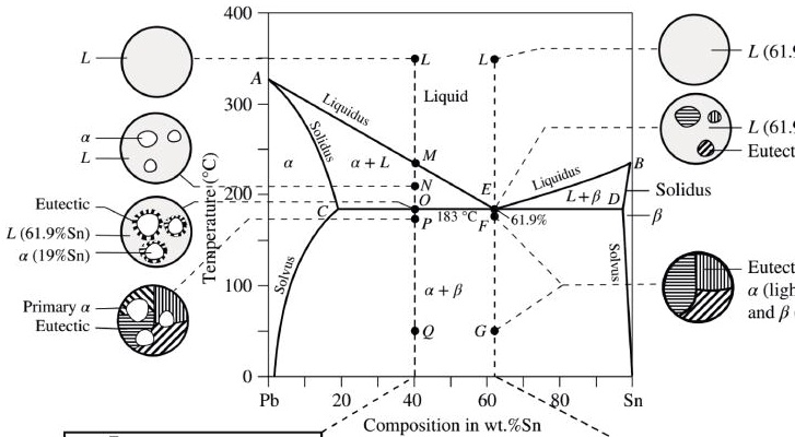 SOLVED: We learn about the eutectic point and eutectic phase diagram in thermodynamics, and ...